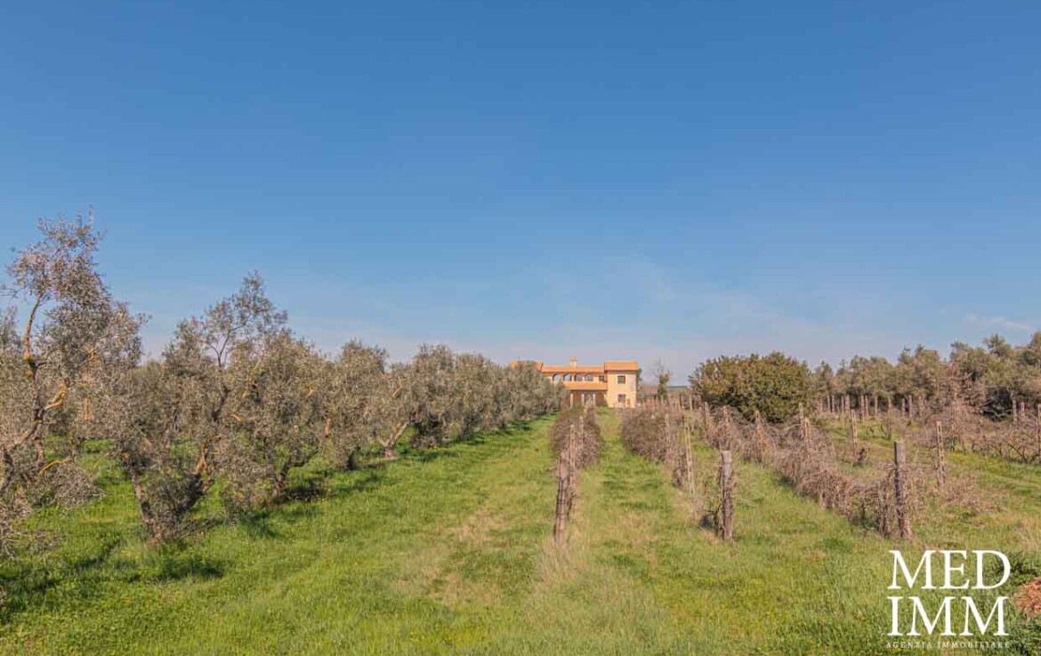 Ampio rustico di villa in stile casale - 500 Case